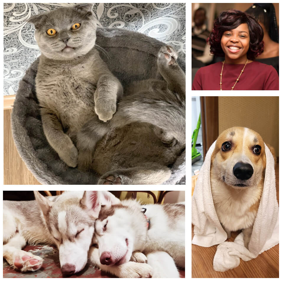 Meet the People Behind Outbyte - Laptop Cleaning Software