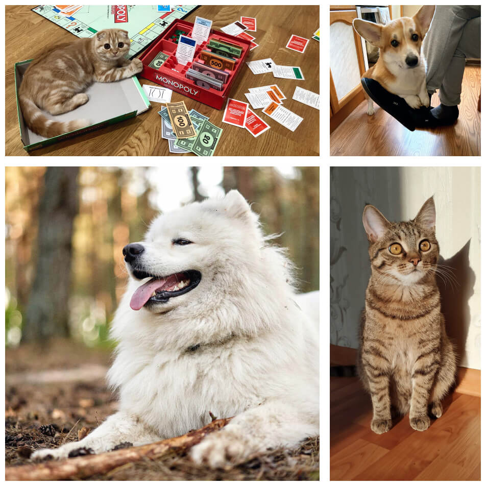 Meet the People Behind Outbyte - Laptop Cleaning Software